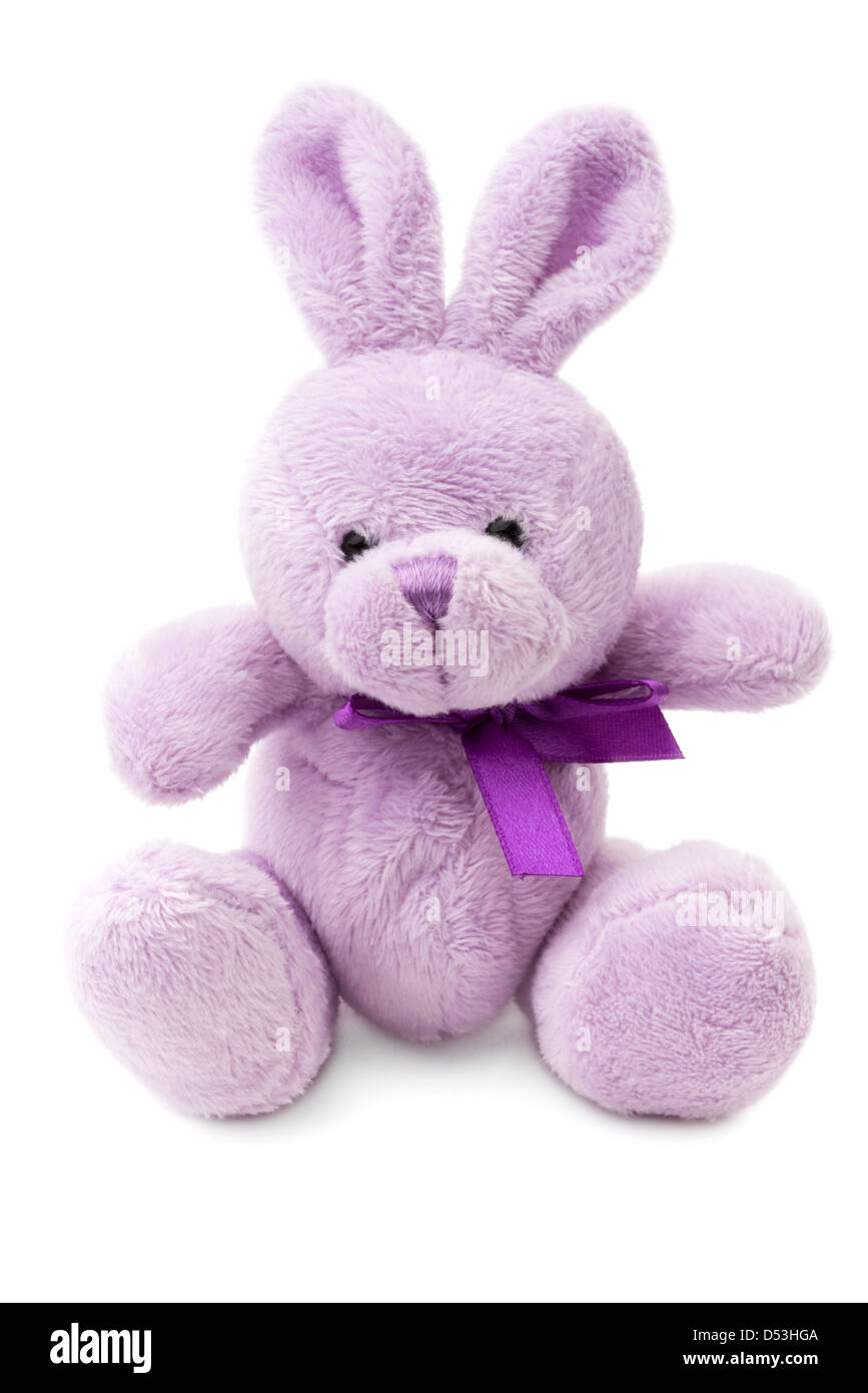 Rabbit images hi-res stock photography and images - Alamy