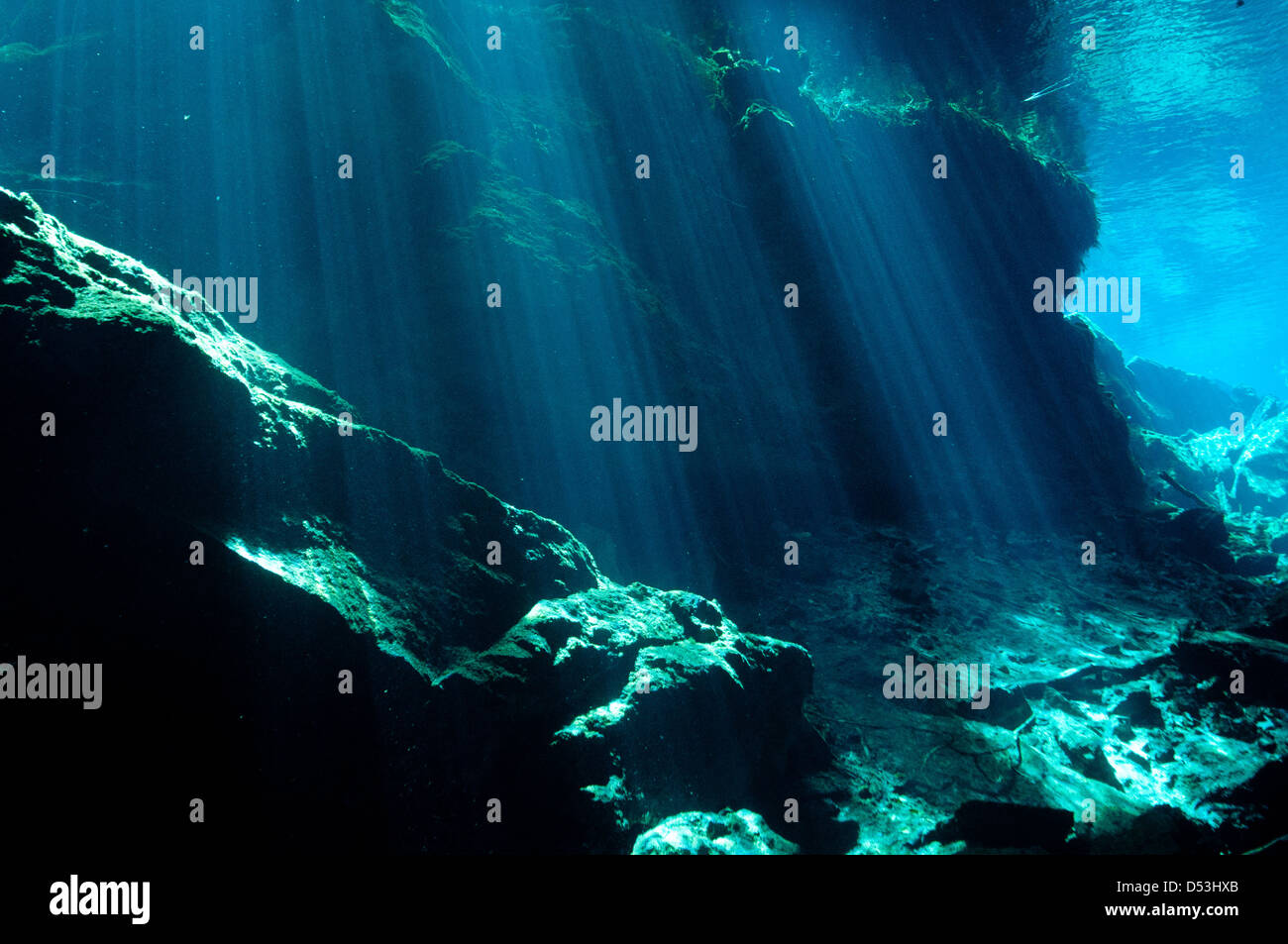 Cenote cave, rock formation underwater with ambient light and ...