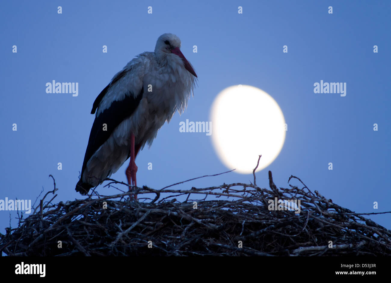 Moon landscape germany hi-res stock photography and images - Alamy