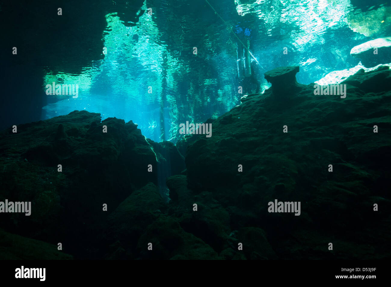 Cenote cave, rock formation underwater with ambient light and ...