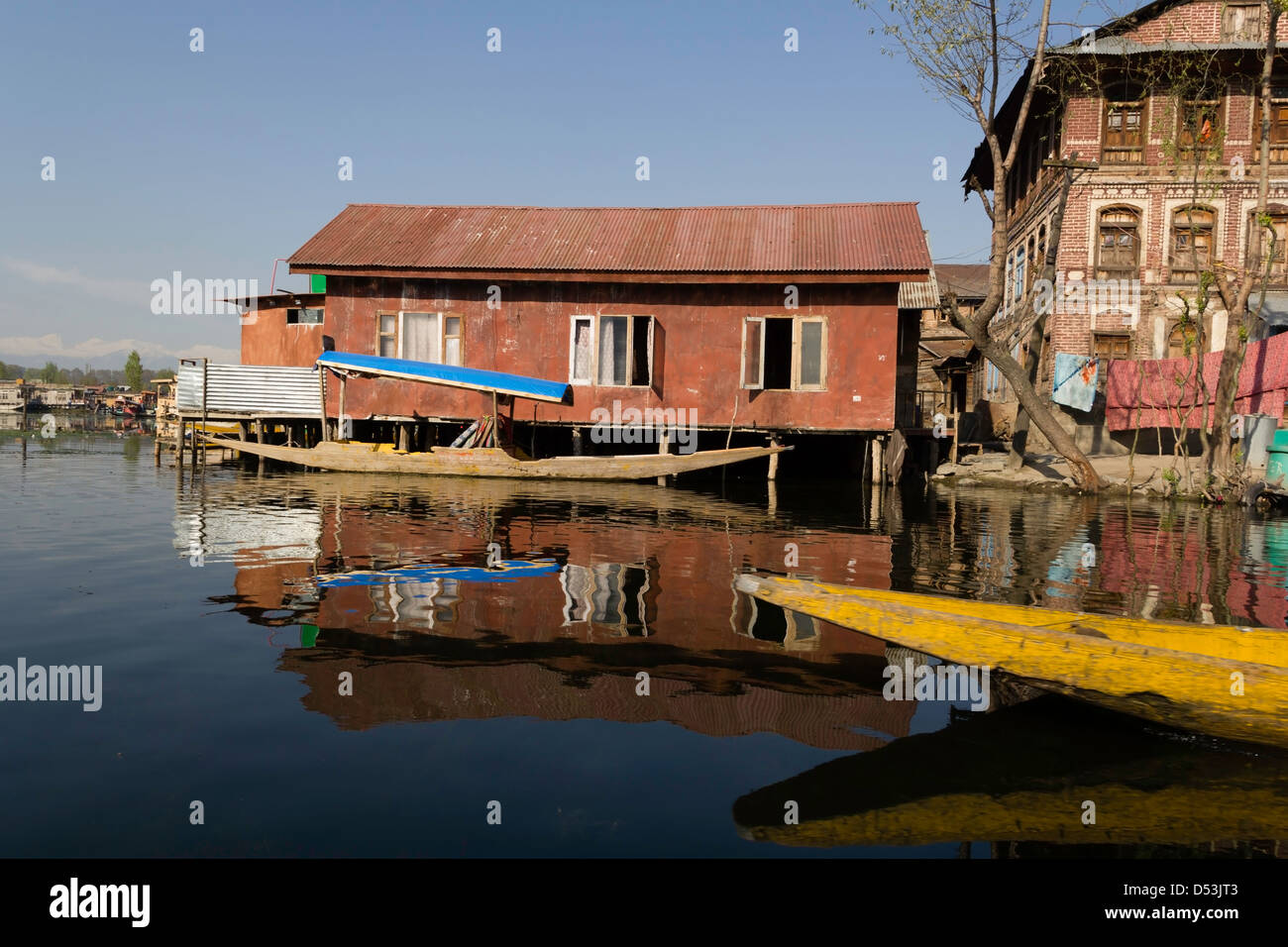 Bright yellow shikara and still waters in front of a run down area of ...