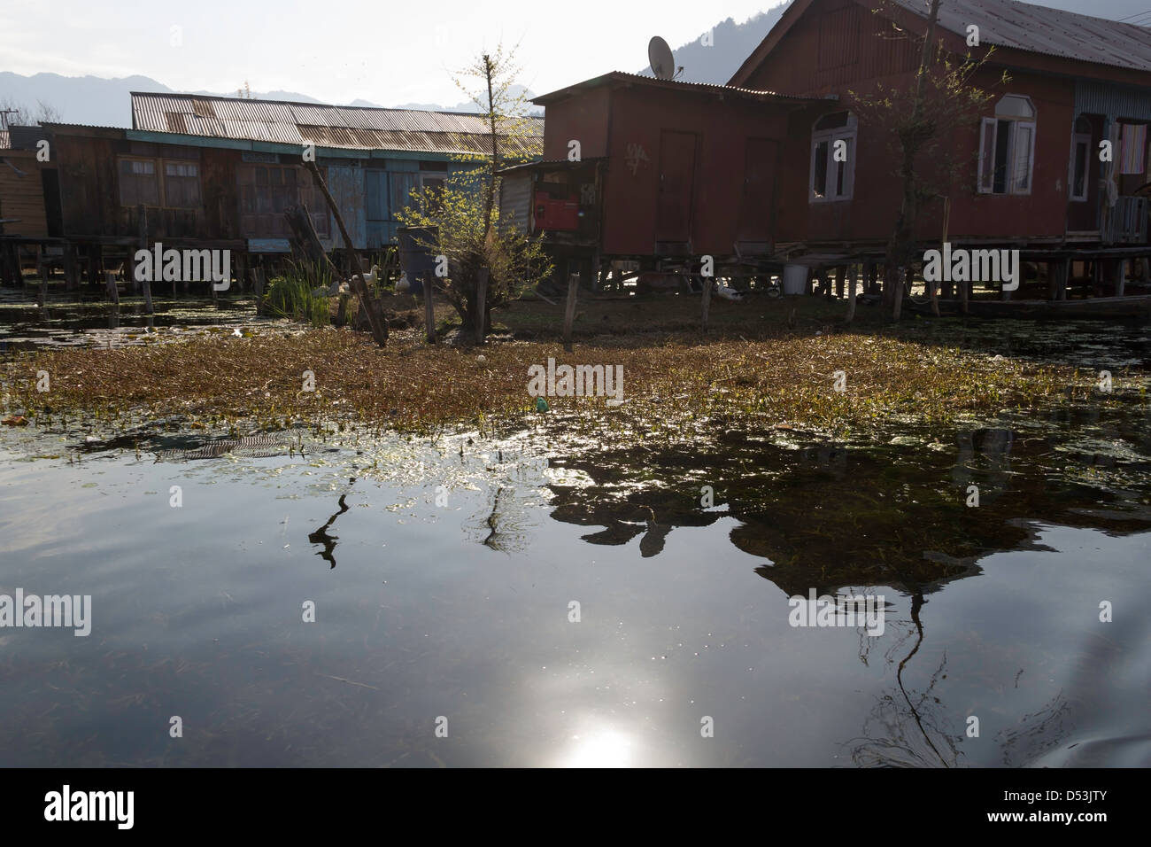 Houses in srinagar kashmir india hi-res stock photography and images ...