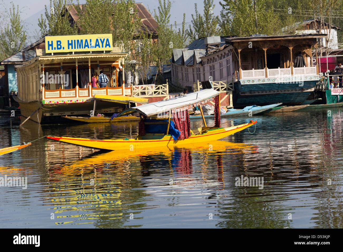 A bright yellow shikara in the water of the Dal Lake in Srinagar in ...