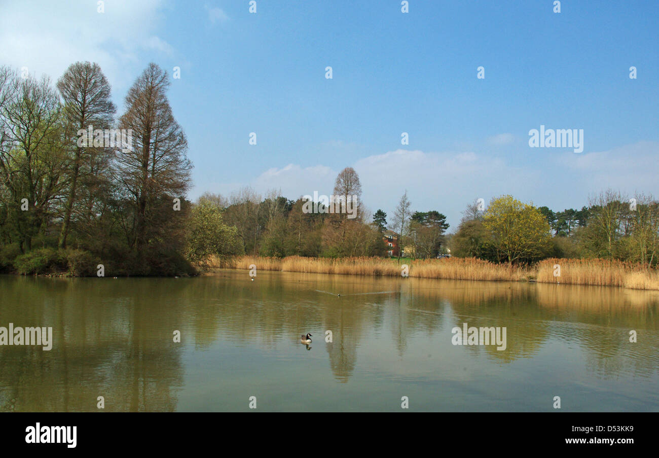 Eastfield park hi-res stock photography and images - Alamy