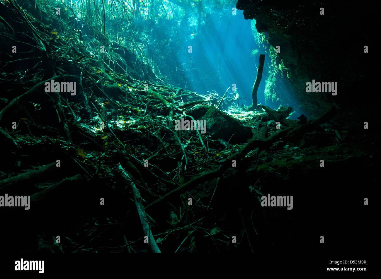 Cenote cave, rock formation underwater with ambient light and ...