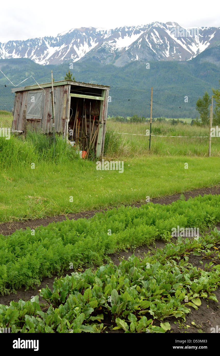 A small organic farm in Oregon's Wallawa Valley Stock Photo - Alamy