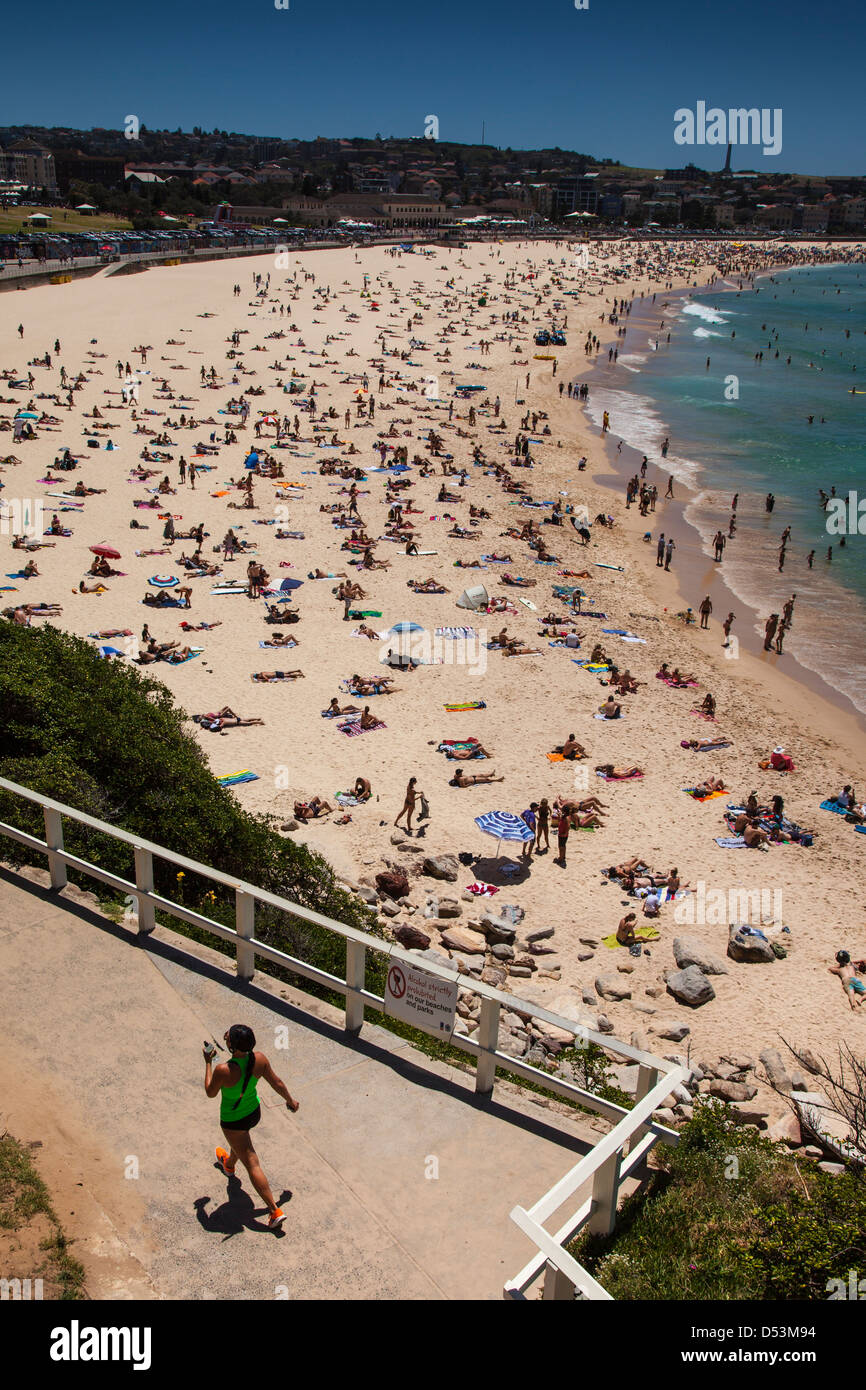 Bondi beach aerial hi-res stock photography and images - Alamy