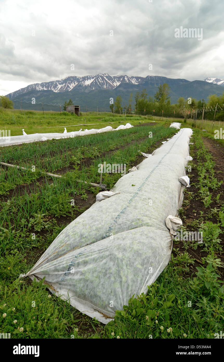 A small organic farm in Oregon's Wallawa Valley Stock Photo - Alamy