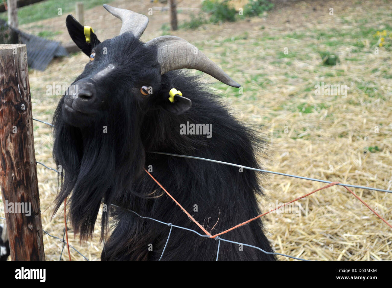 Sad looks hi-res stock photography and images - Alamy