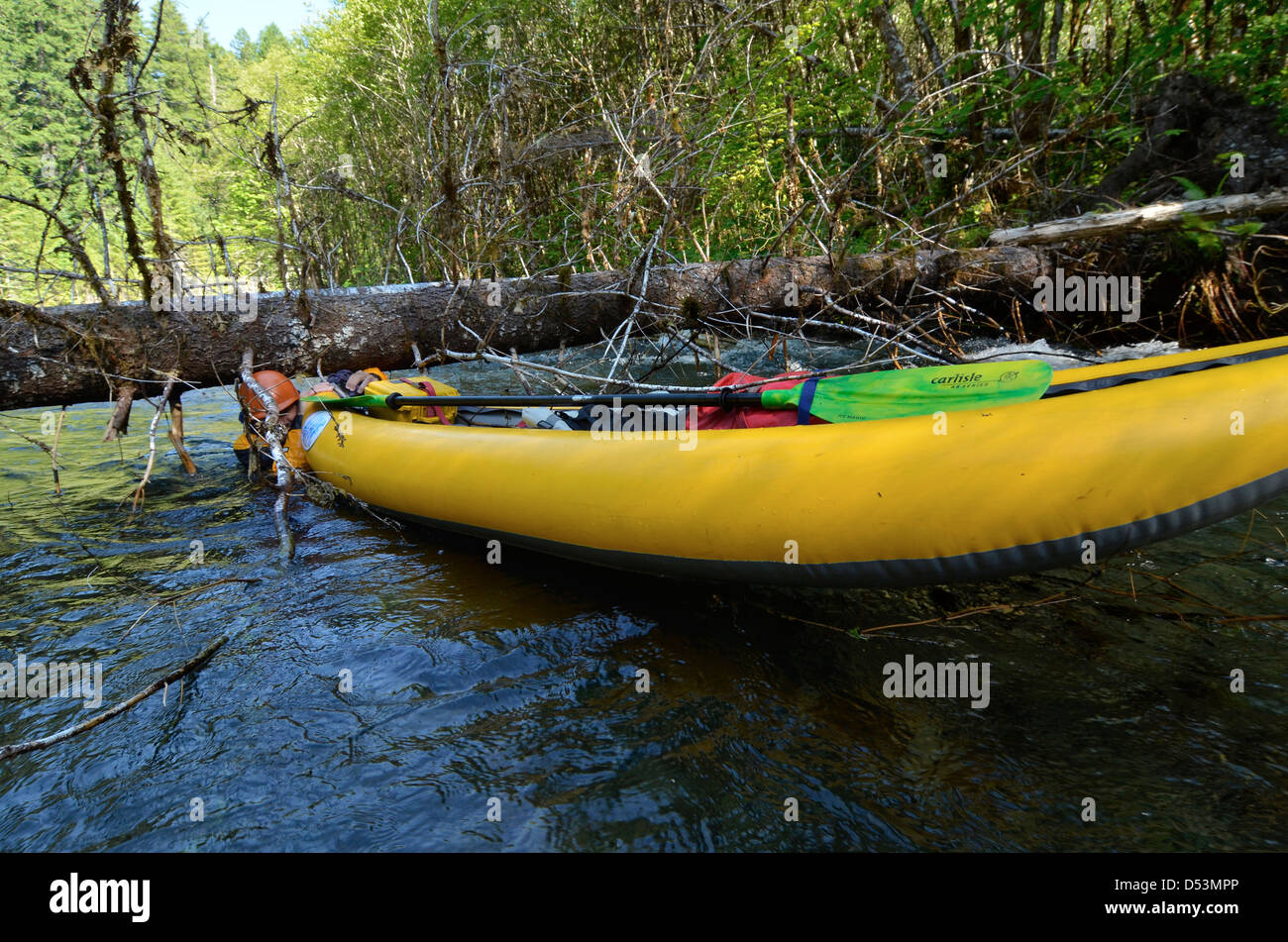 Swimming an inflatable kayaks under a downded tree on Oregon's South ...