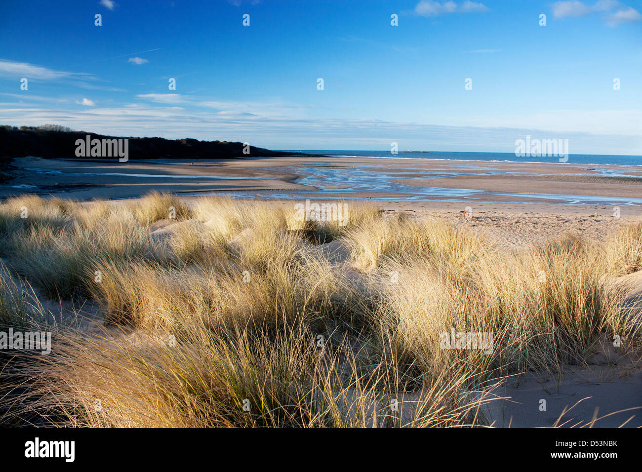 Traeth Lligwy beach on east coast of Anglesey near Moelfre with marram ...