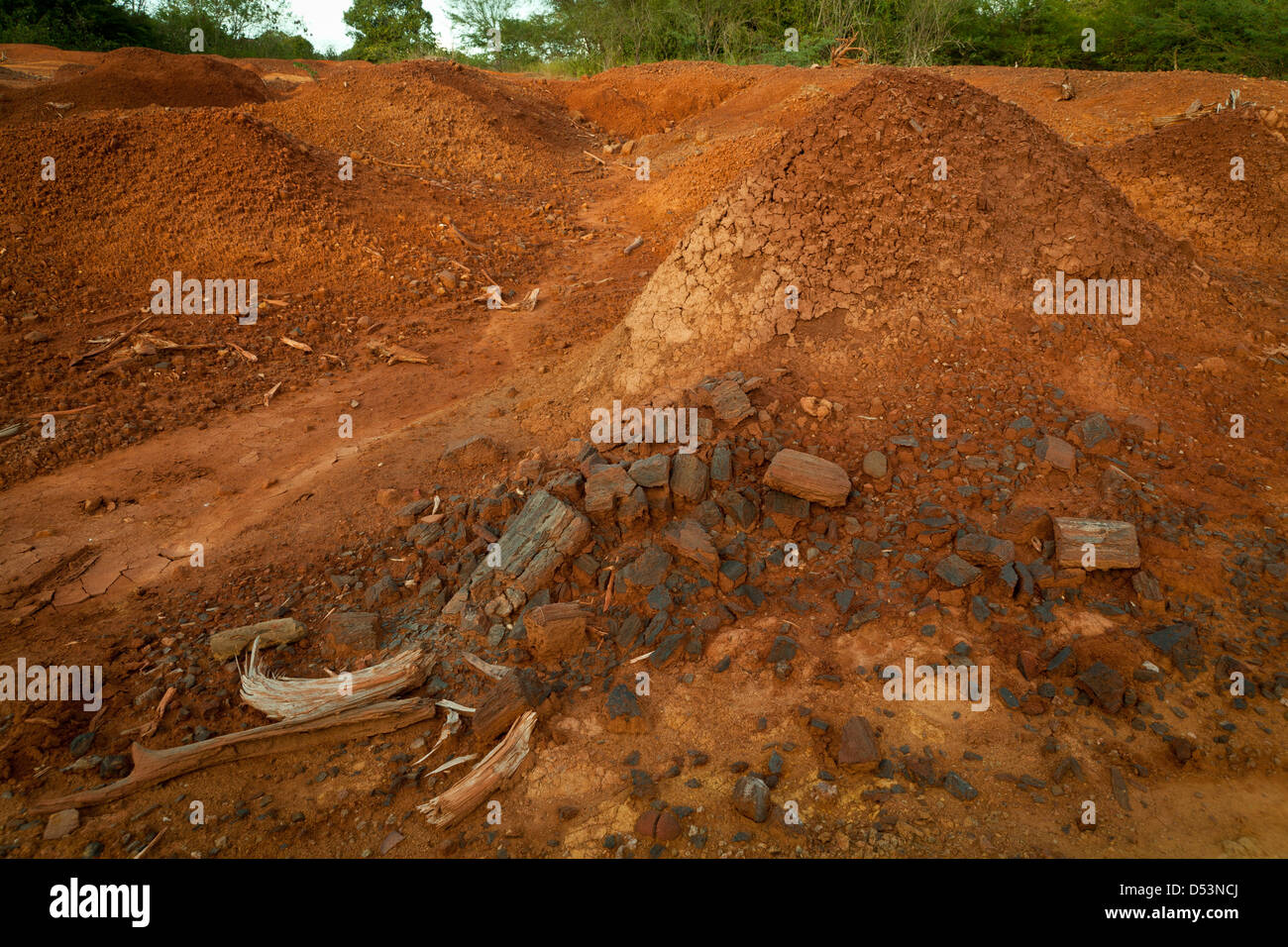 Parque nacional sarigua panama hi-res stock photography and images - Alamy