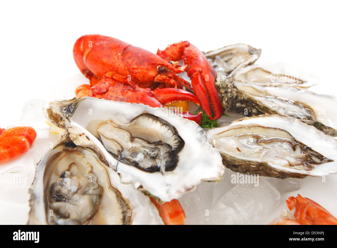 Various fresh seafood on white background Stock Photo - Alamy