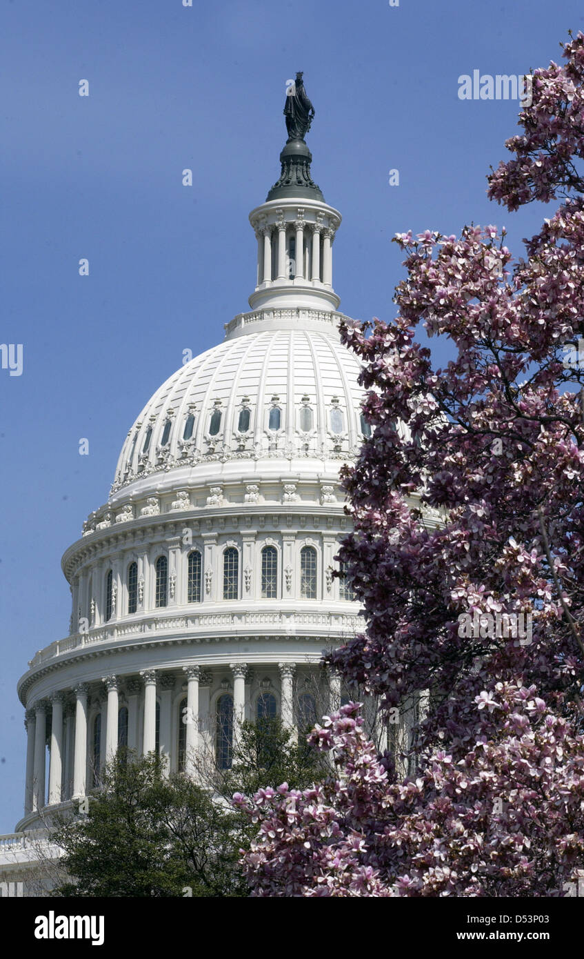 United States Capitol spring colors with Statue of Freedom crown the ...
