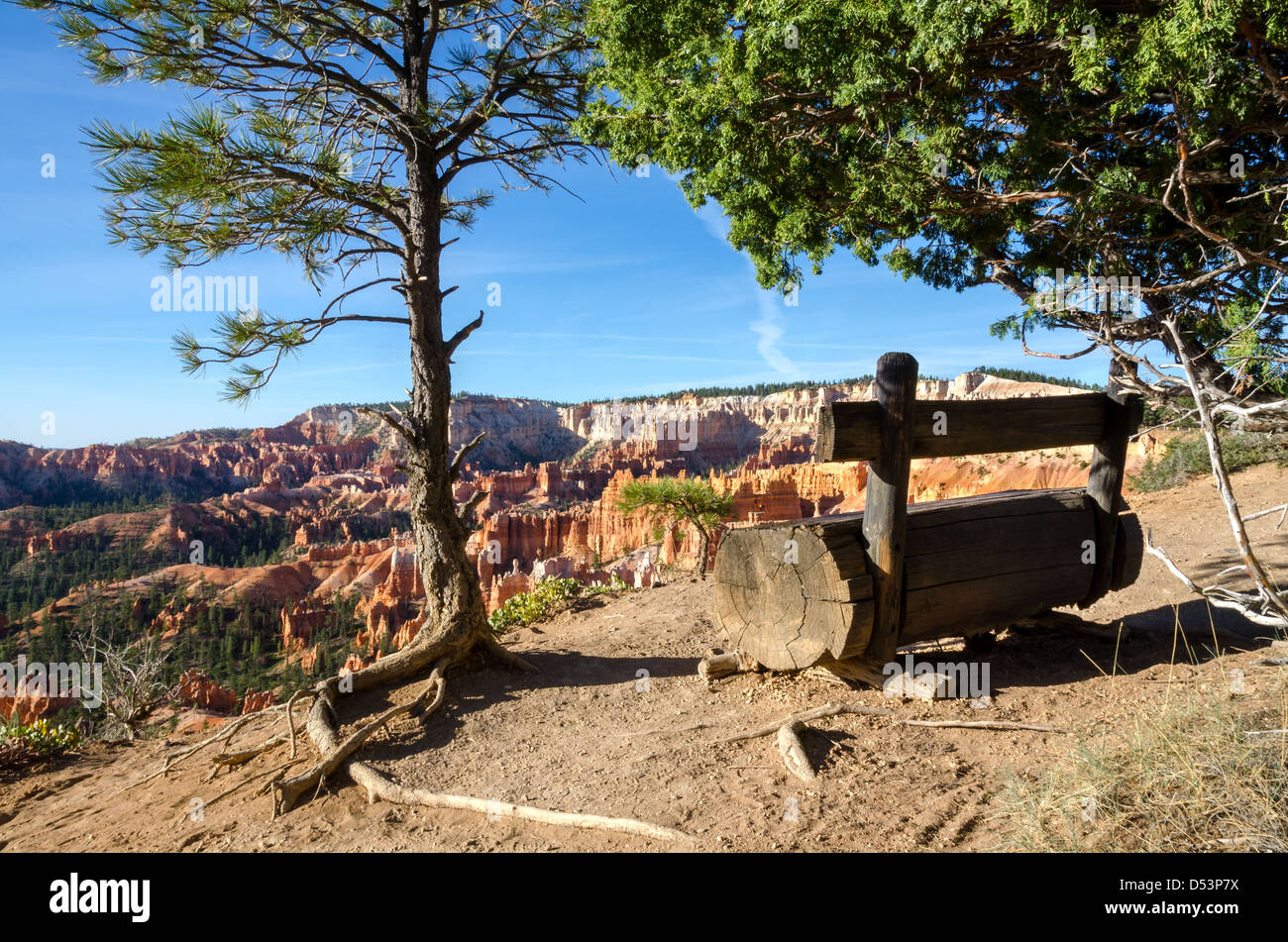 bench in Bryce Canyon National Park in Utah in the United States of ...