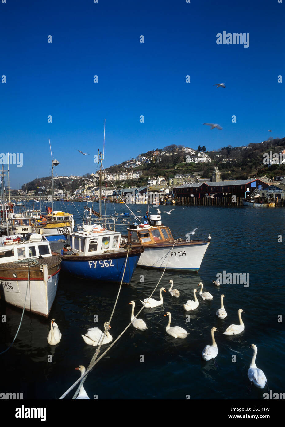 Looe fishing boats hi-res stock photography and images - Alamy