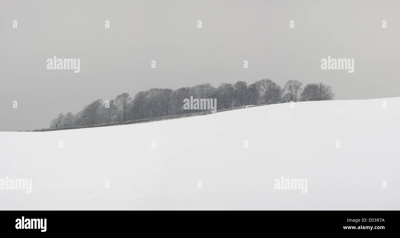 Panorama of a snowy copse on a hill Stock Photo - Alamy