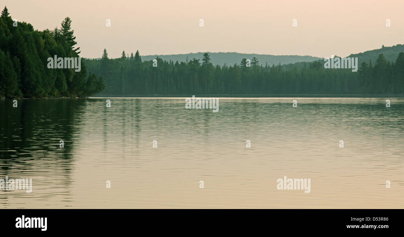 Otterslide Lake Treeline Stock Photo - Alamy