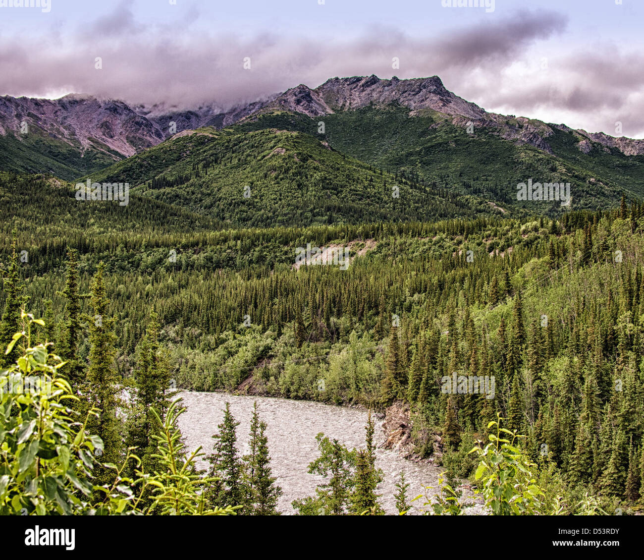 Denali borough alaska hi-res stock photography and images - Alamy
