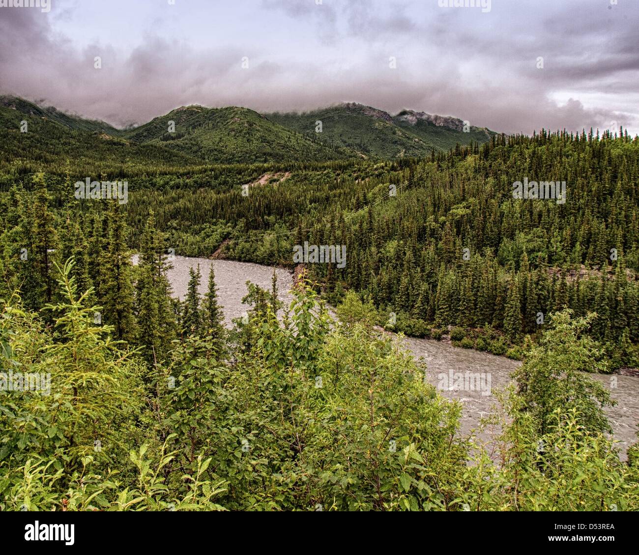Denali borough alaska hi-res stock photography and images - Alamy