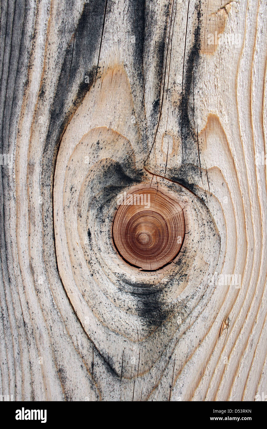 Beautiful knotty and grainy natural wood texture Stock Photo - Alamy
