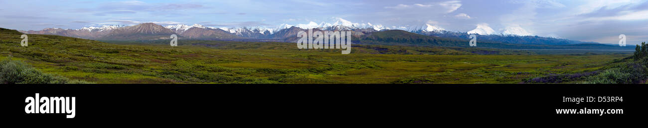 Panorama view south of the Alaska Range from Polychrome Pass, Denali ...