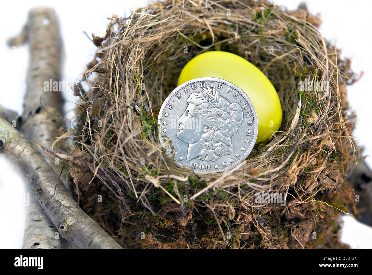 A bird nest with a vintage 1900 coin for a financial concept of saving ...