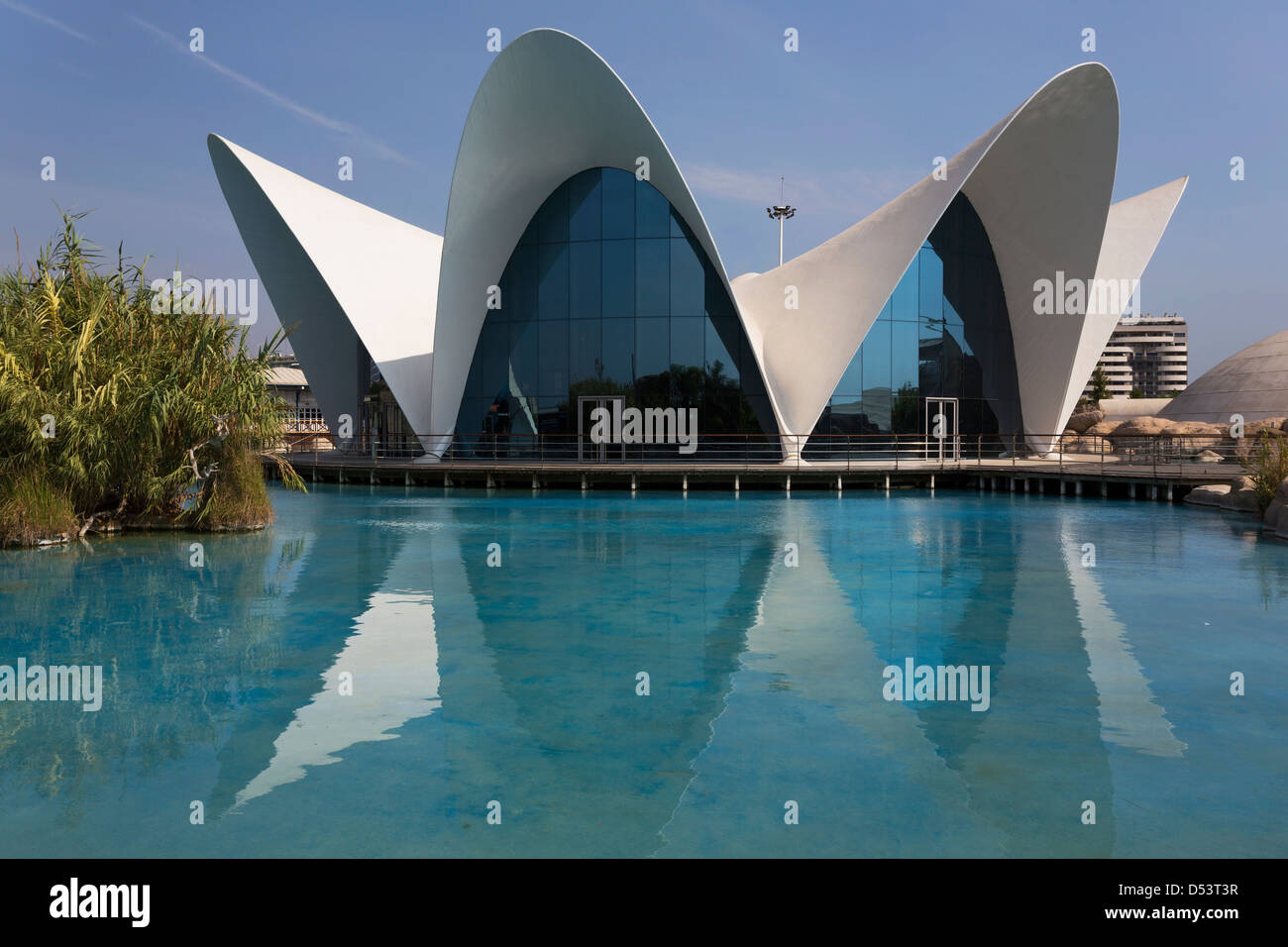 Oceanographic, Valencia, Spain Stock Photo - Alamy