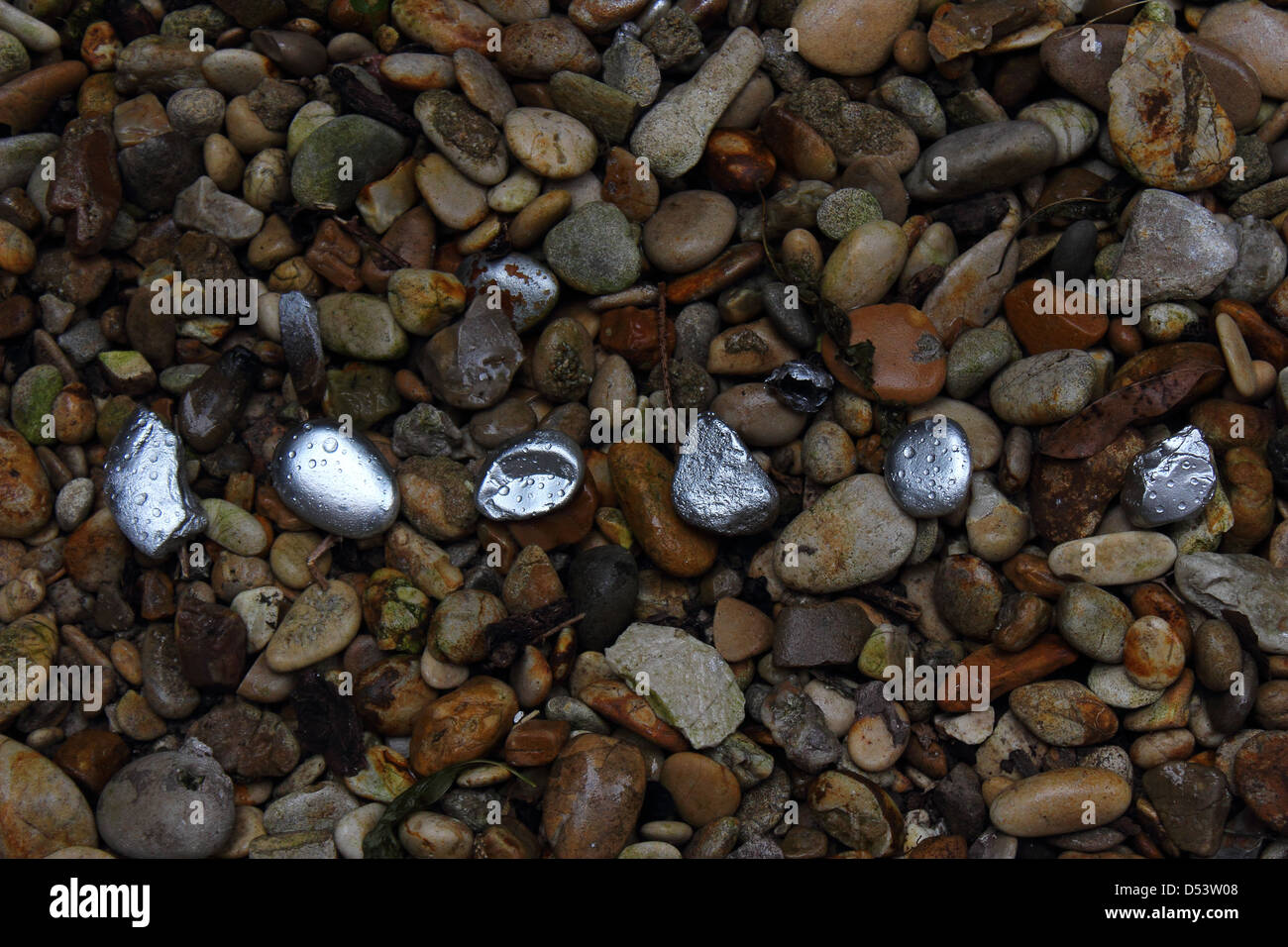 Silver pebbles in line among common pebbles Stock Photo - Alamy