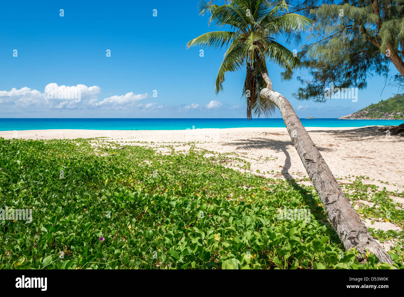 Anse Intendance beach on Mahe island, Seychelles Stock Photo - Alamy