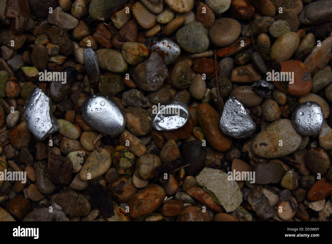 Silver pebbles in line among common pebbles Stock Photo - Alamy