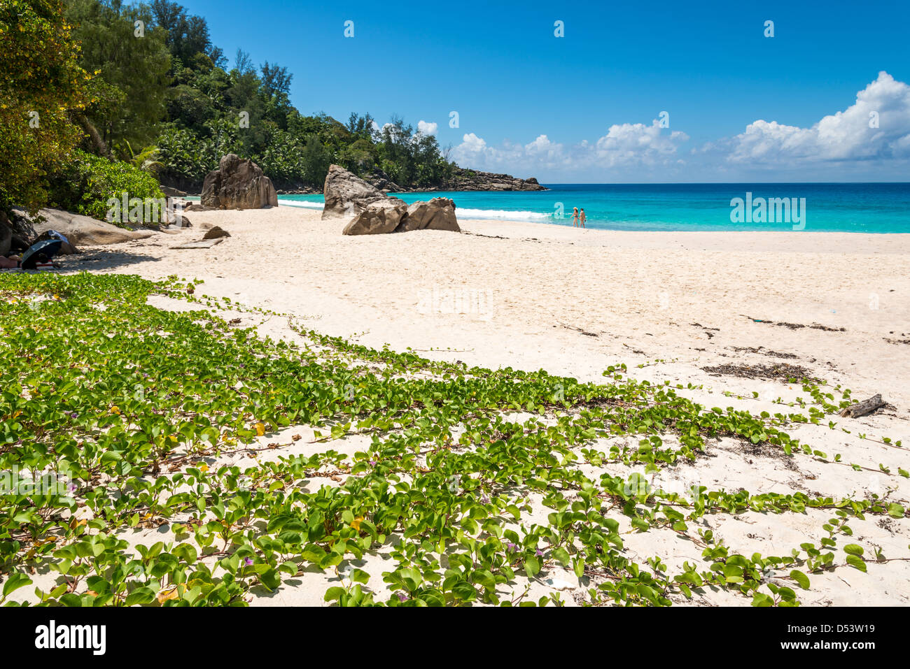 Anse Intendance beach on Mahe island, Seychelles Stock Photo - Alamy