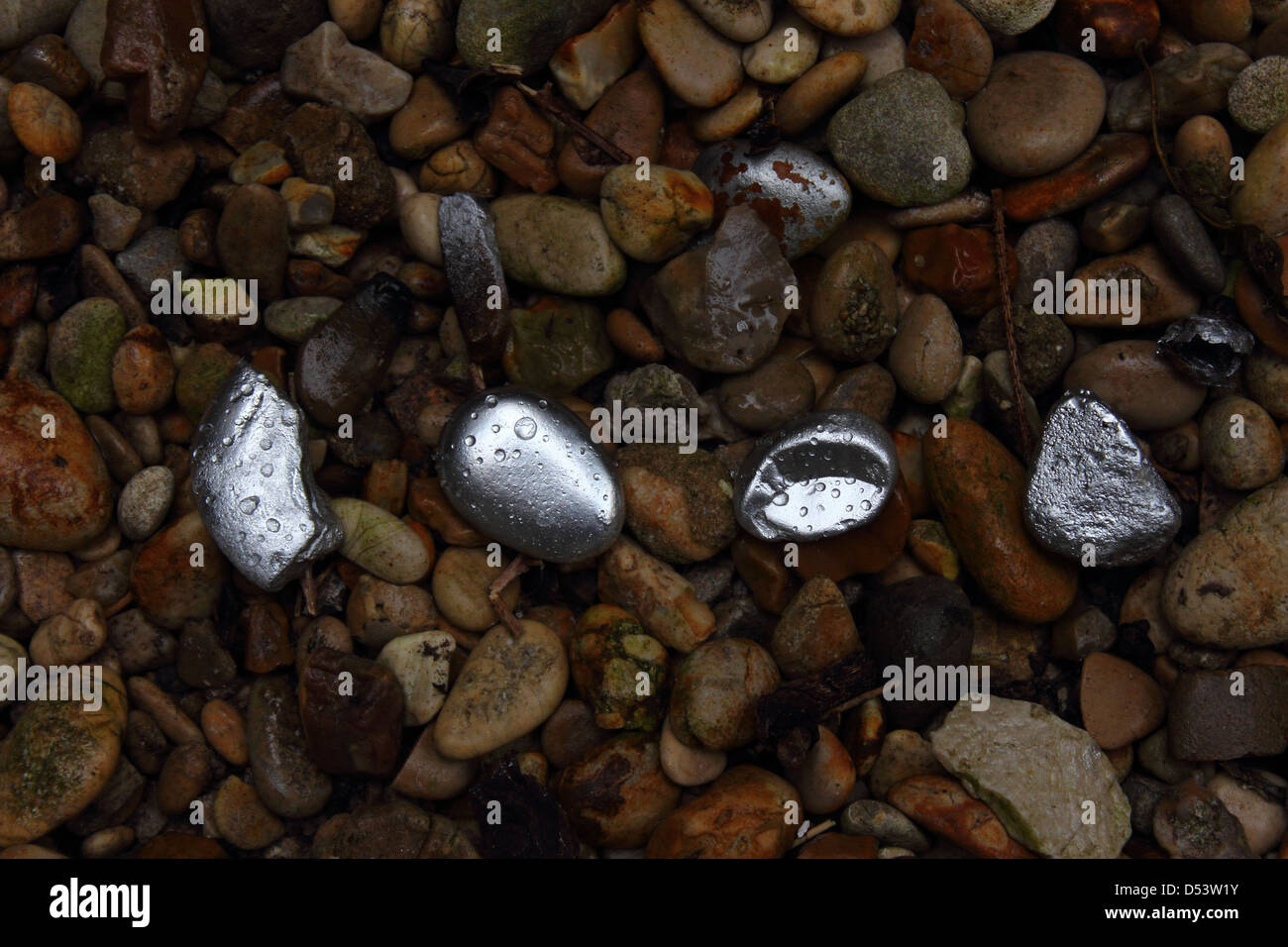 Silver pebbles in line among common pebbles Stock Photo - Alamy