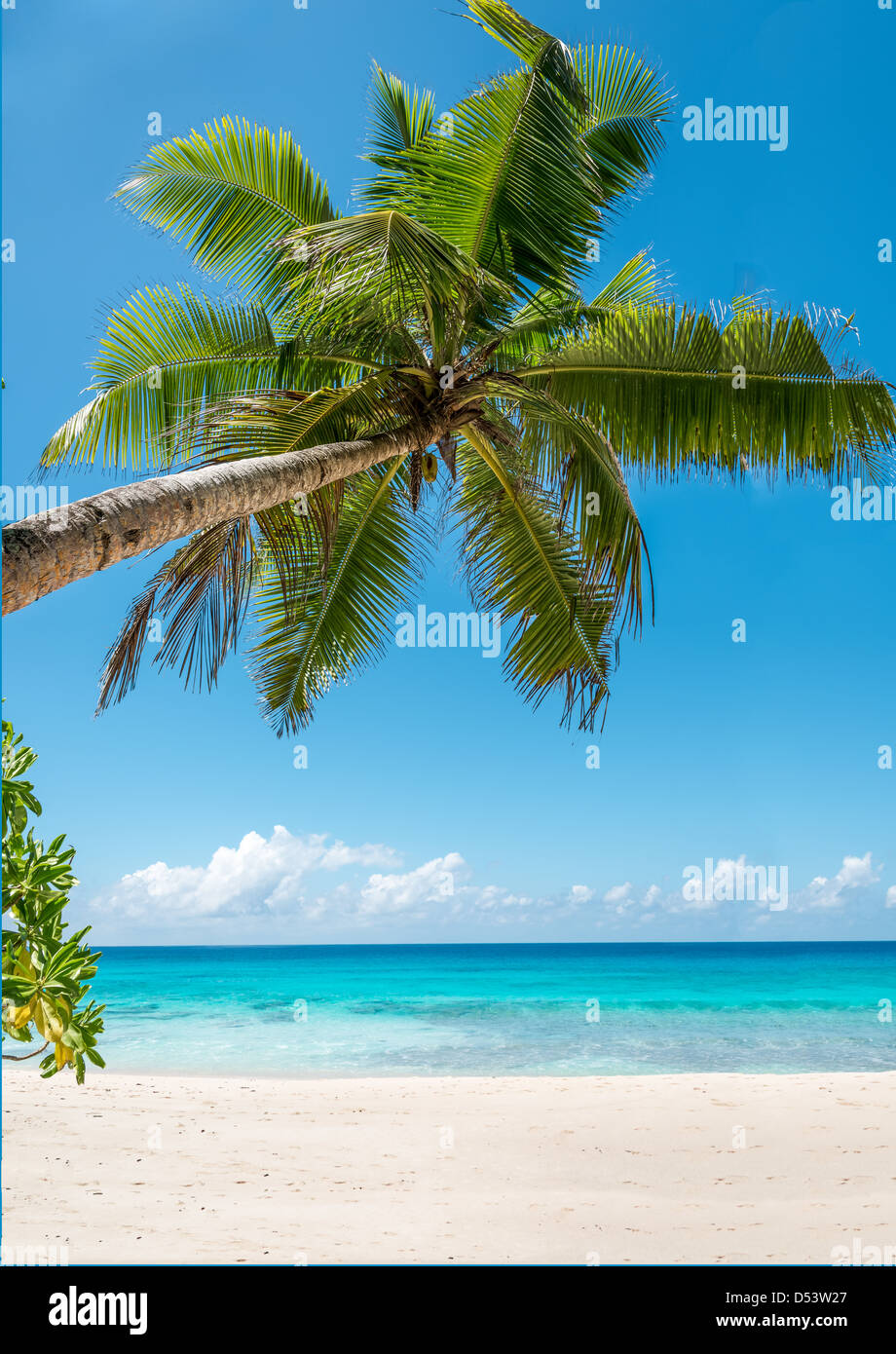 Beautiful tropical exotic anse intendance beach on mahe island hi-res ...