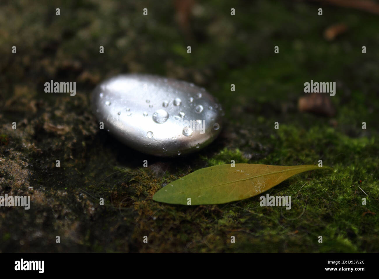 Silver pebbles in line among common pebbles Stock Photo - Alamy