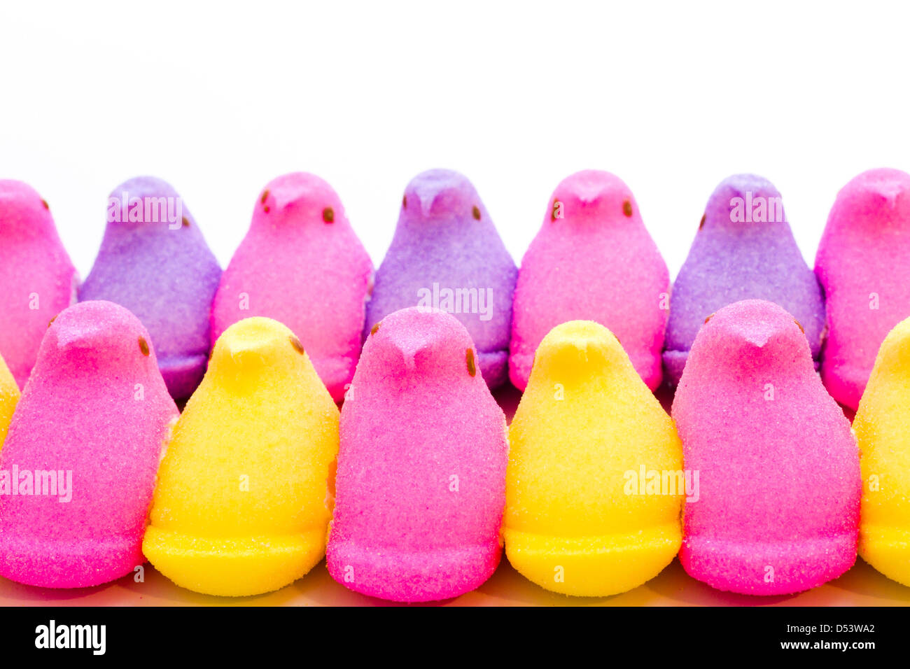 Marshmallow chicks for Easter on a white background Stock Photo - Alamy