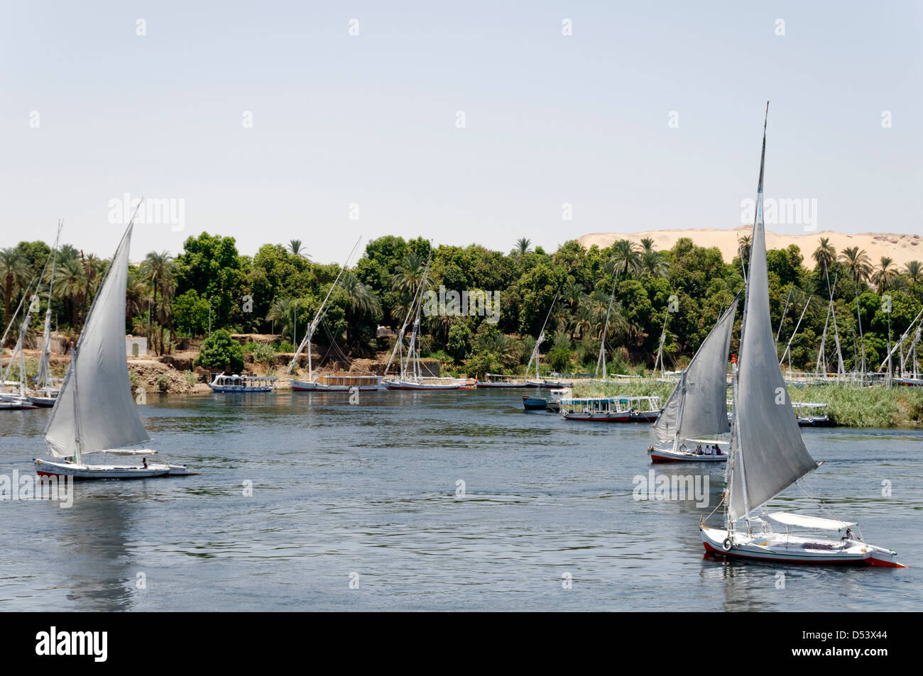 Egypt. Traditional feluccas carrying tourists around the Elephantine ...