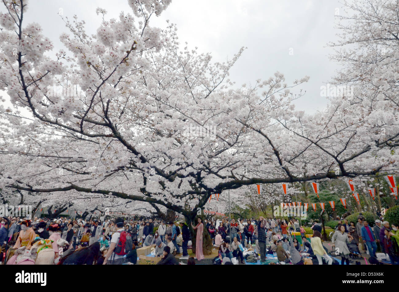 Best views in japan hi-res stock photography and images - Alamy