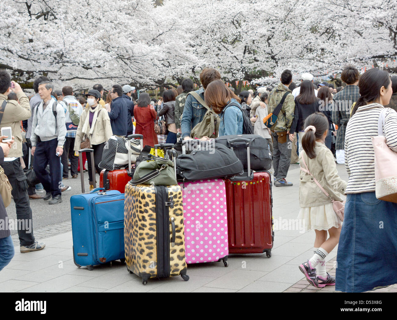 March 23, 2013, Tokyo, Japan - Foreign tourists with colorful trolley ...