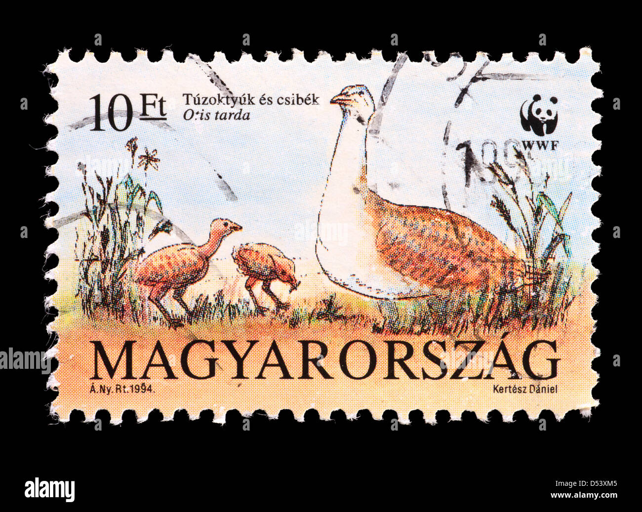 Postage stamp from Hungary depicting a Great Bustard (Otis tarda) with ...