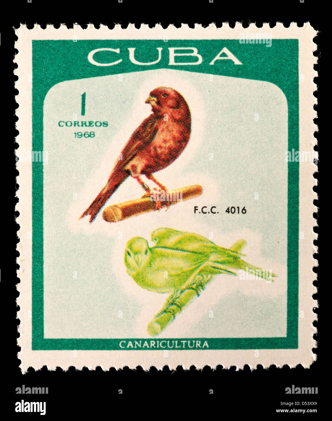 Postage stamp from Cuba depicting a songbird Stock Photo - Alamy