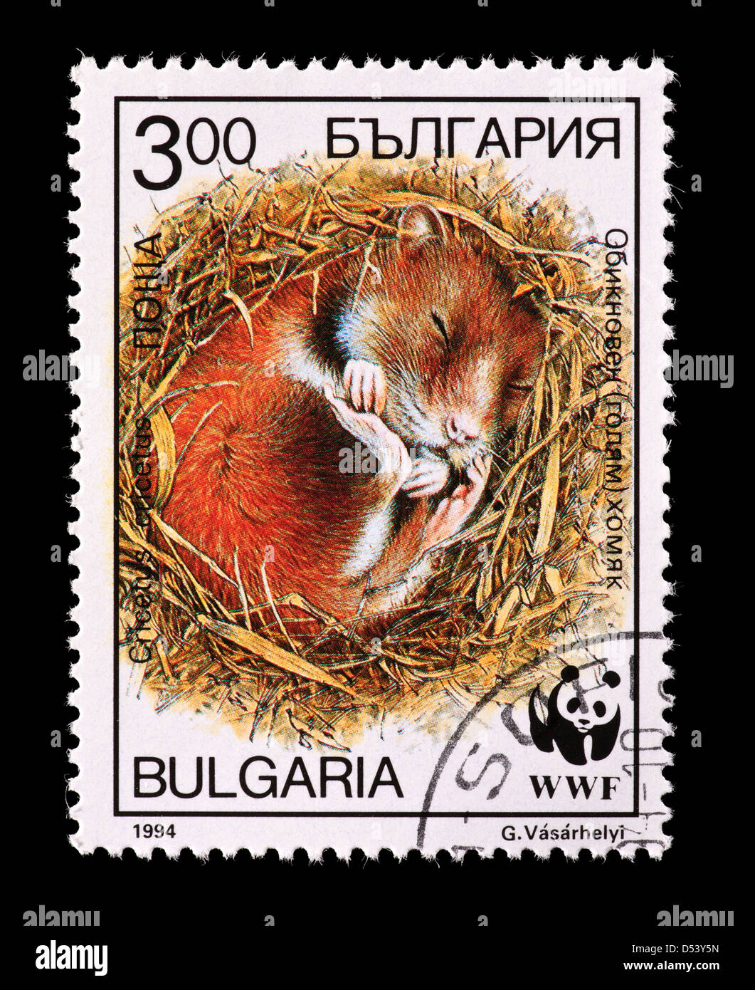Postage stamp from Bulgaria depicting a European hamster (Cricetus ...