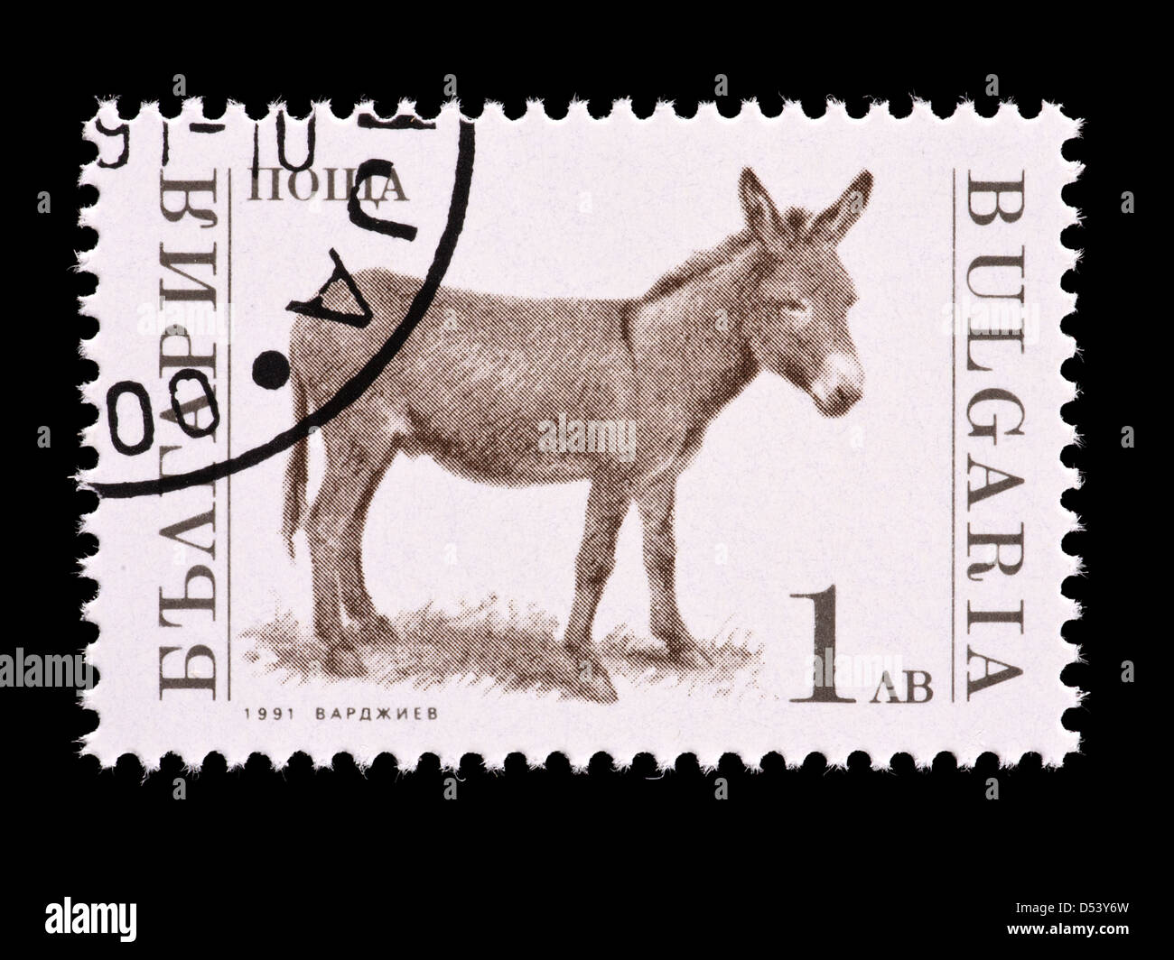 Postage stamp from Bulgaria depicting a donkey Stock Photo - Alamy