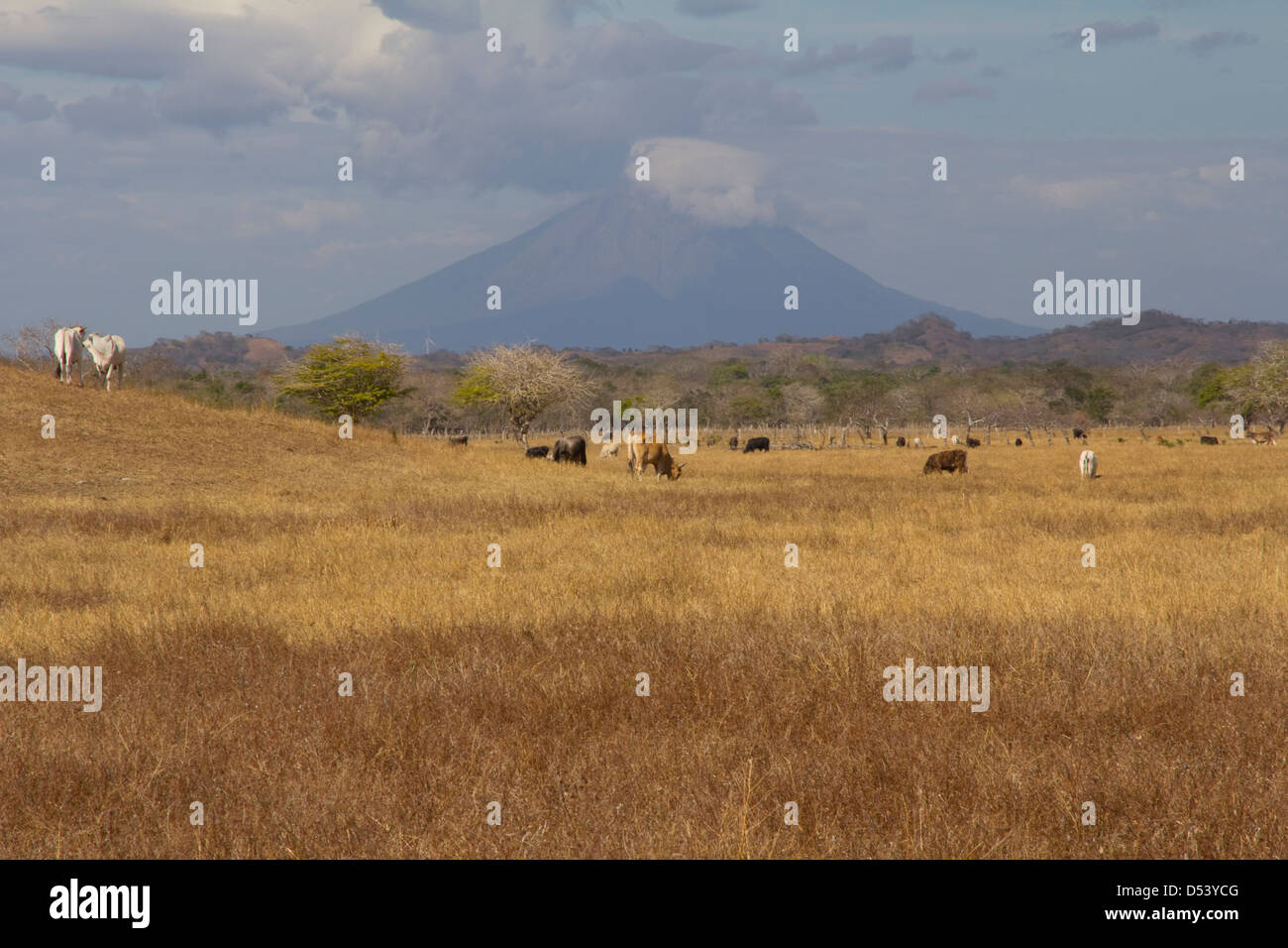 Smoldering Volcan Concepcion, viewed from a ranch near San Juan del Sur ...