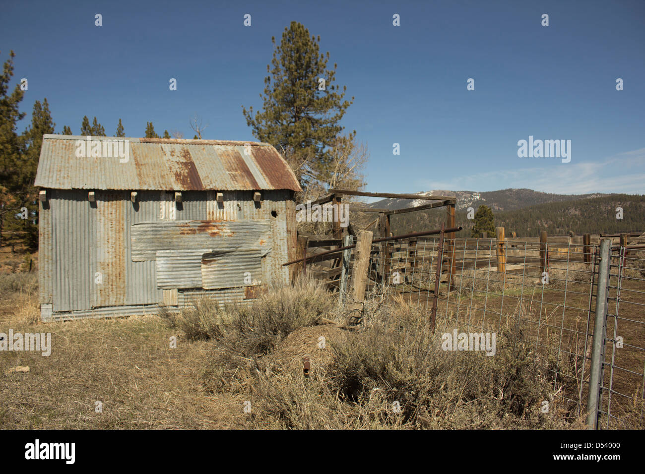 Old rusty miner's shack or cattle barn Stock Photo - Alamy