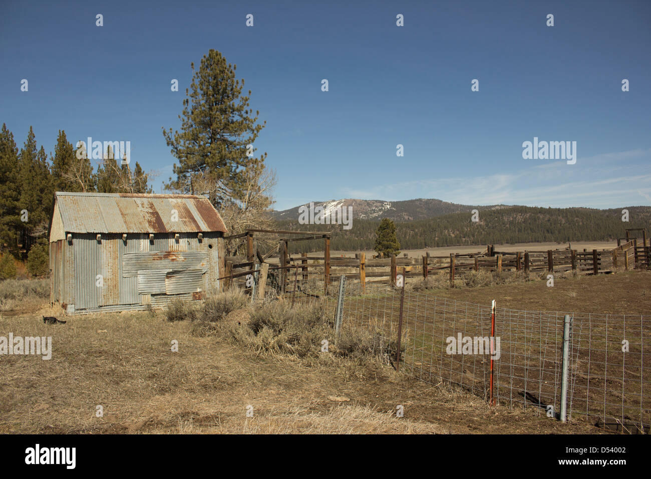 Miners shack hi-res stock photography and images - Alamy