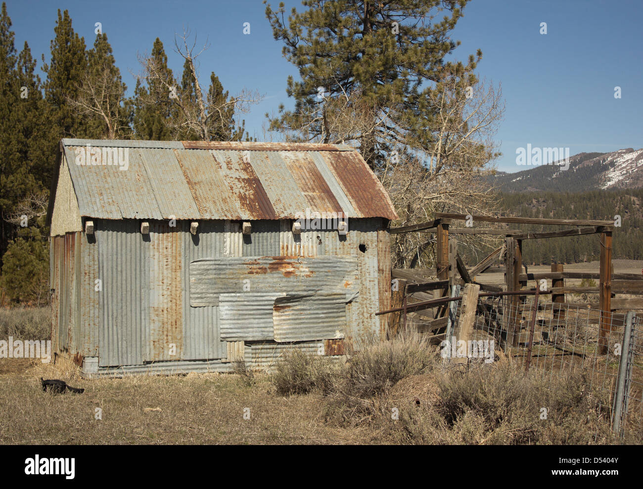 Old rusty miner's shack or cattle barn Stock Photo - Alamy