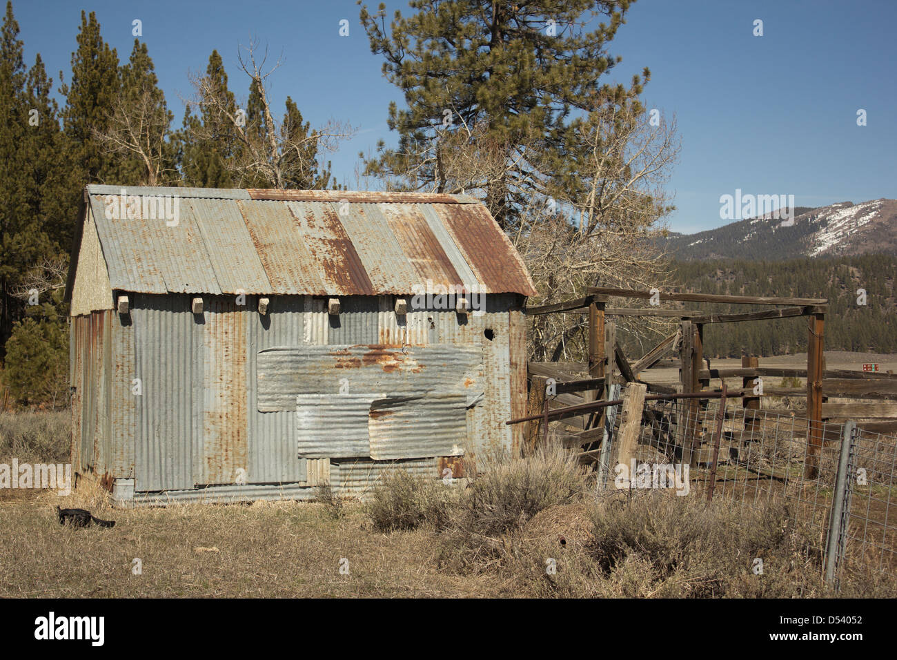 Miners shack hi-res stock photography and images - Alamy