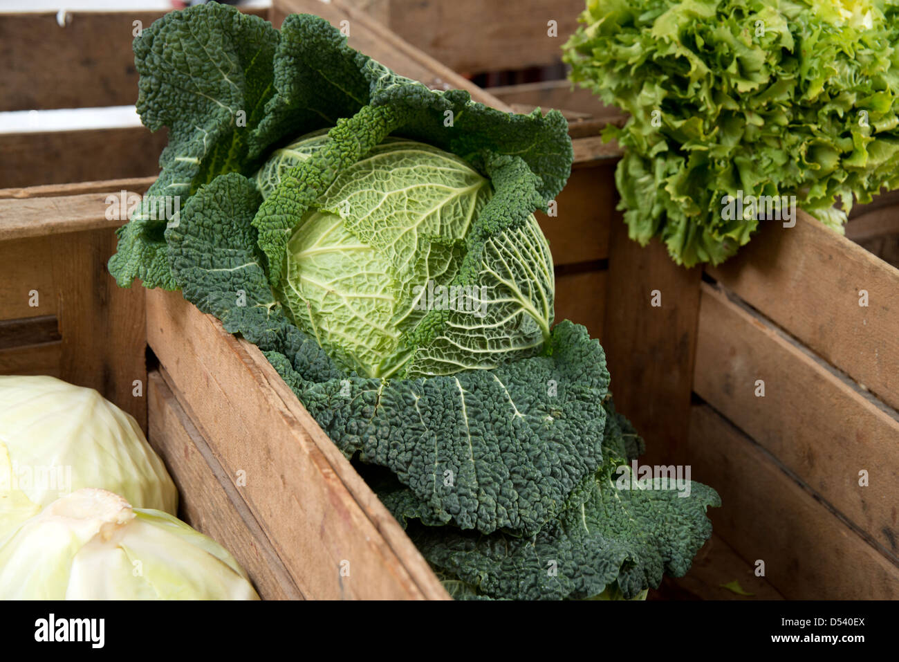 Large green savoy cabbage in wooden bin at open-air market stall in ...