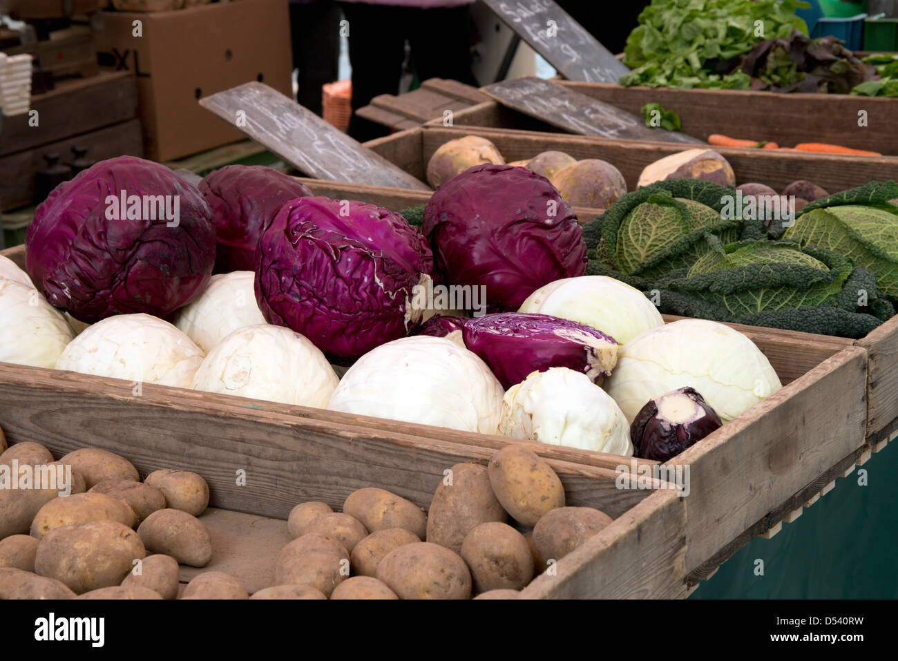 Bins of green cabbage hi-res stock photography and images - Alamy
